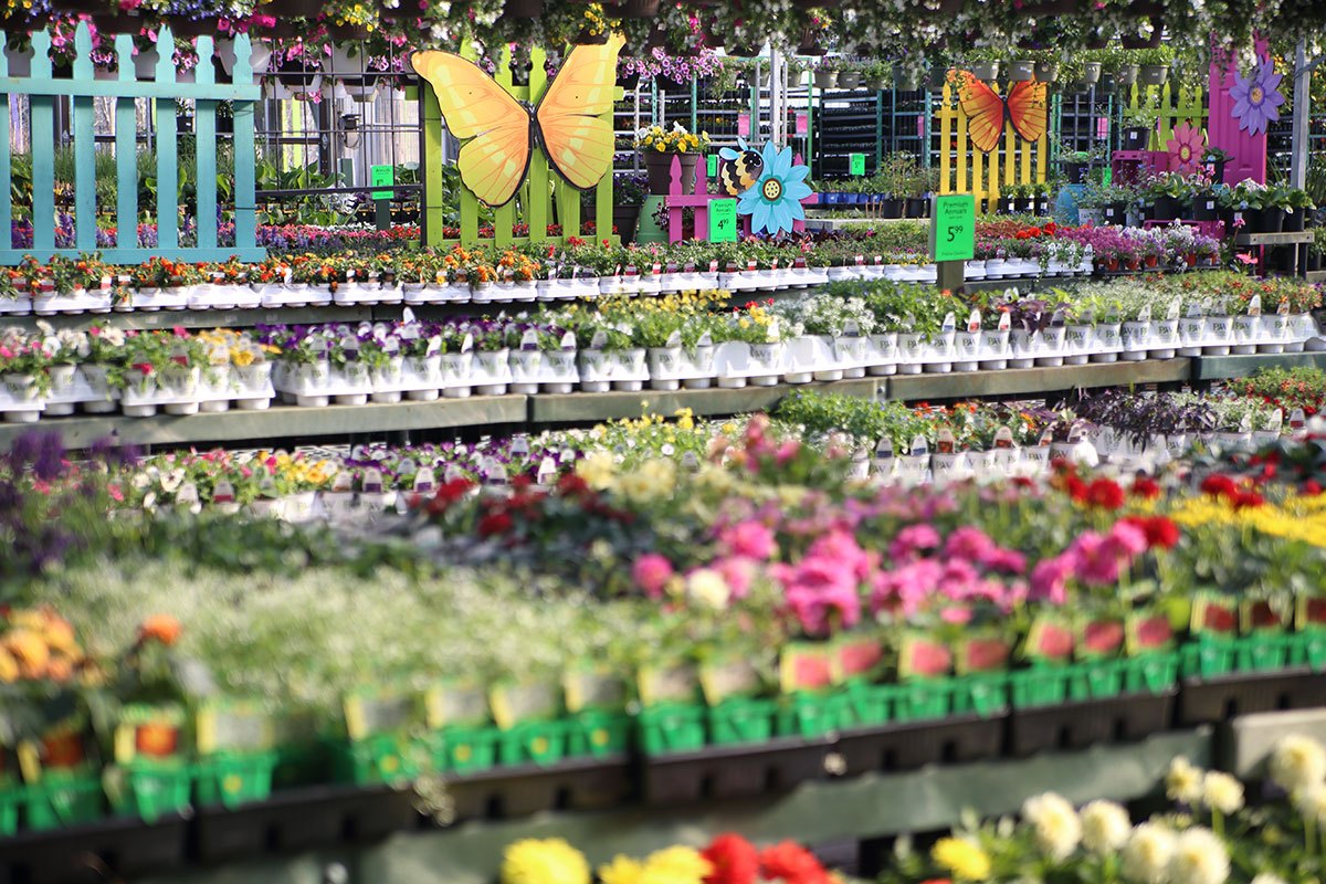 Garden Center & Nursery | Prairie Gardens – Champaign, IL