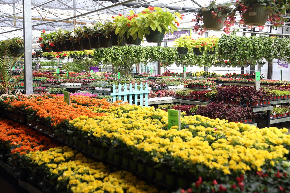 Garden Center & Nursery | Prairie Gardens – Champaign, IL