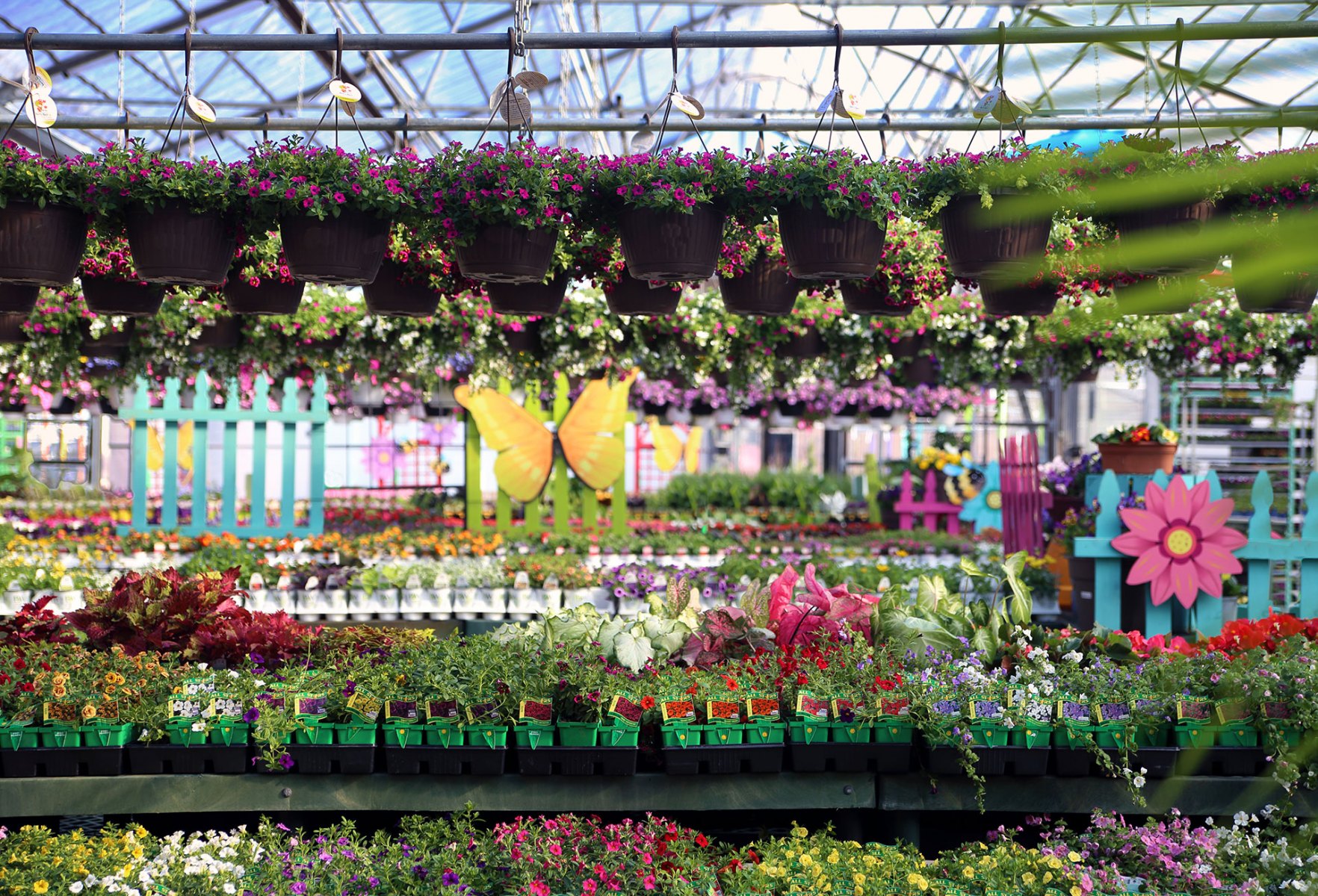 Garden Center & Nursery | Prairie Gardens – Champaign, IL