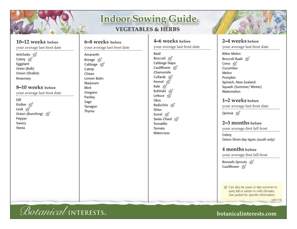 Seed-Starting 101 | Prairie Gardens & Jeffrey Alans