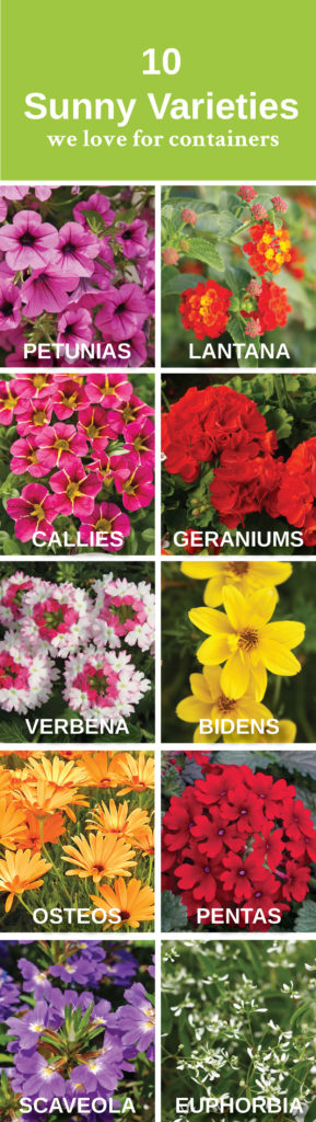 How to Make a Container Garden | Prairie Gardens & Jeffrey Alans