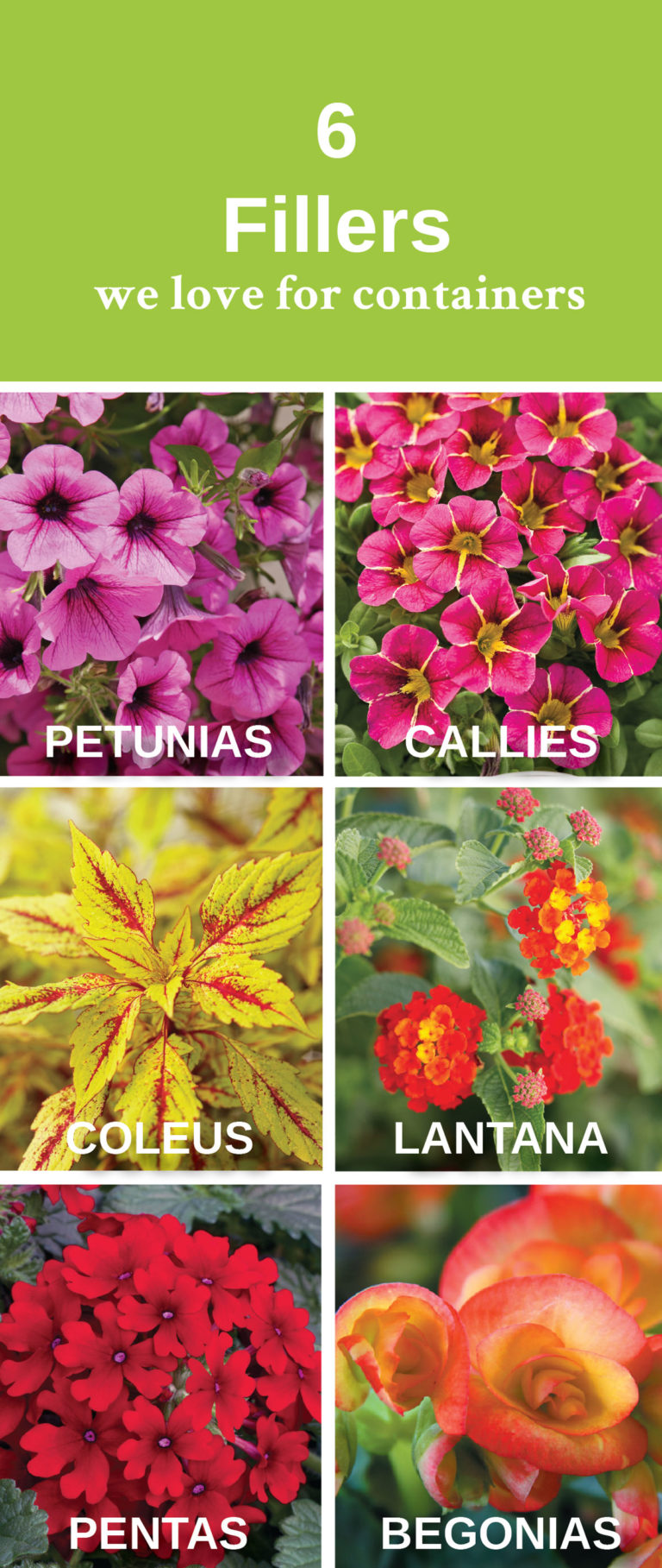 How to Make a Container Garden | Prairie Gardens & Jeffrey Alans