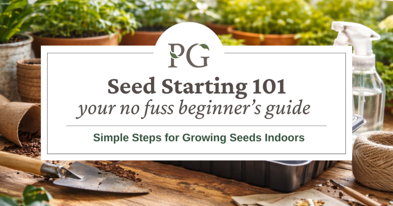 A Beginner’s Guide to Seed Starting | Prairie Gardens & Jeffrey Alans